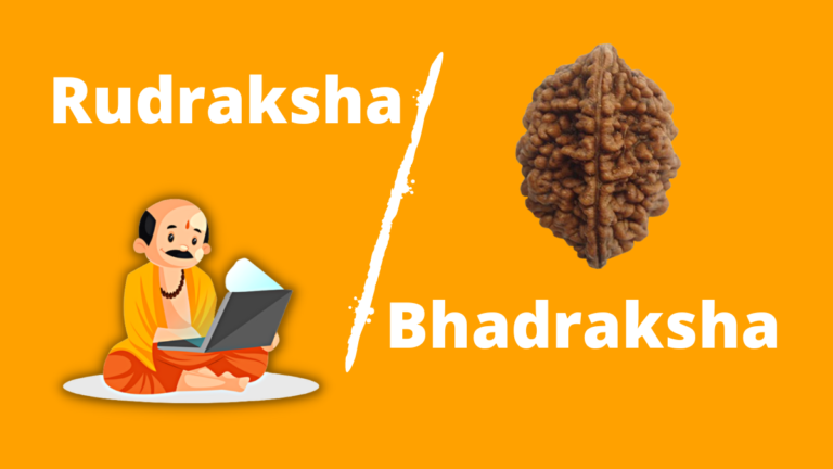 Bhadraksha All About | Difference Between Rudraksha and Bhadraksha