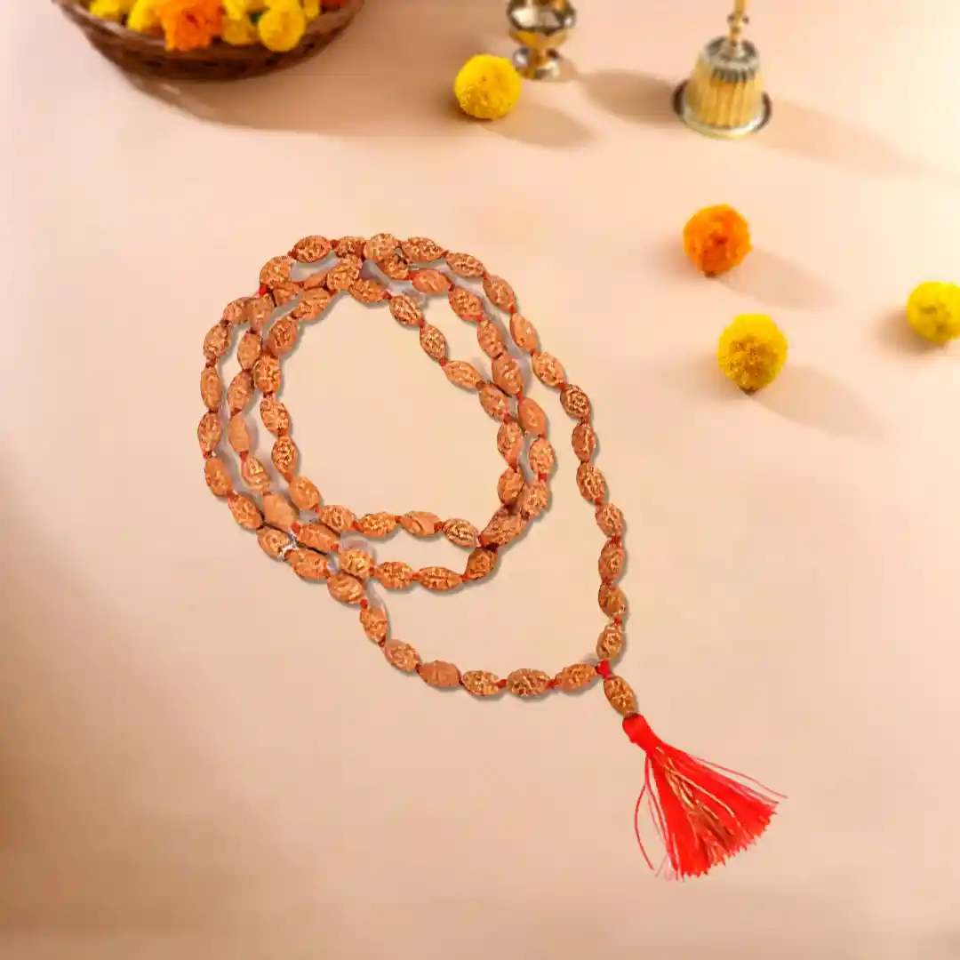 2 Mukhi Rudraksha Mala In Thread | Certified For Relationship Harmony